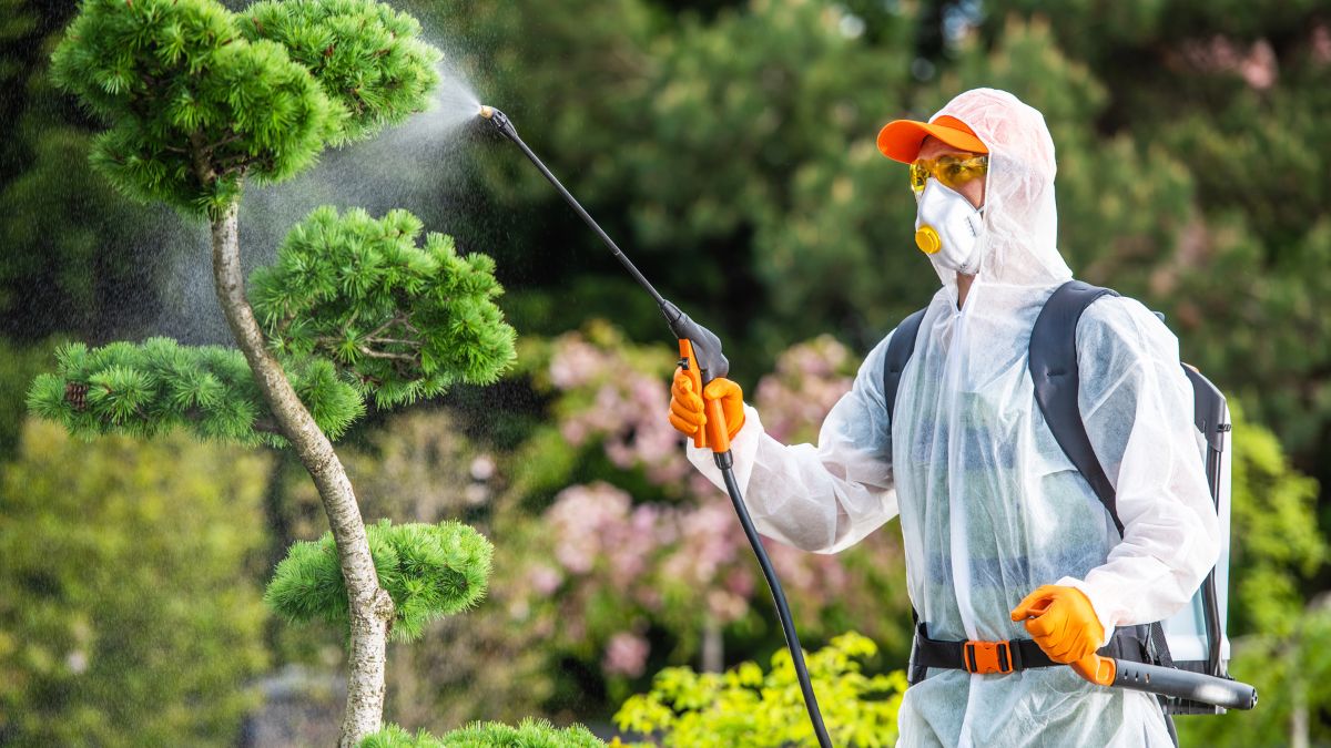 ¿Qué son los biocidas para las plagas? | Formulación de biocidas